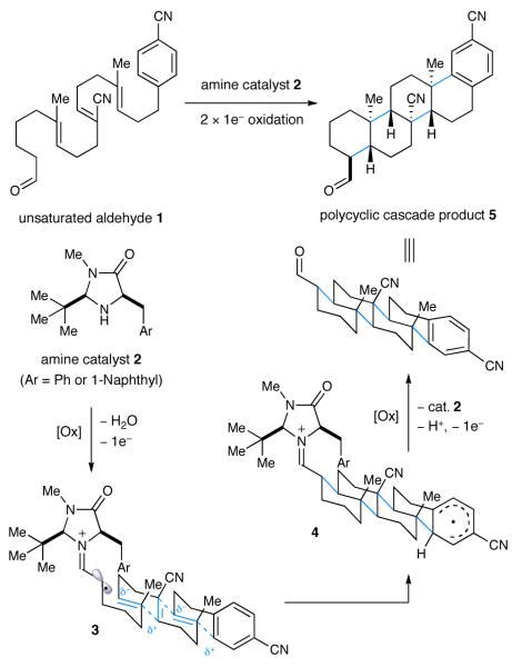 Enantioselective Polyene Cyclization Via Organo Somo Catalysis Abstract Europe Pmc