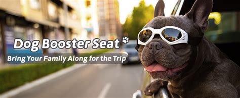 Joejoy Elevated Dog Car Seat For Smallmedium Dogs Up To