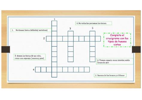 Sistema Oseo Free Interactive Worksheets 307804