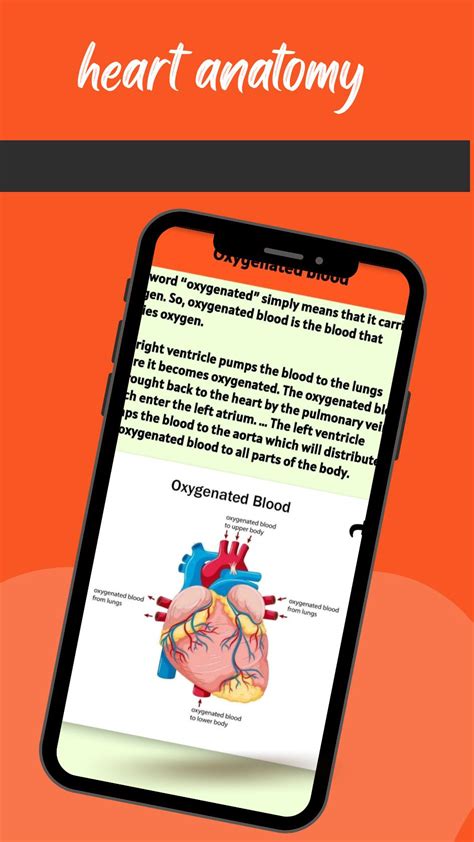 Heart Anatomy Apk For Android Download