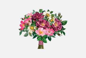 深度学习之基于Tensorflow卷积神经网络花卉识别系统 GUI界面 索炜达 猿创