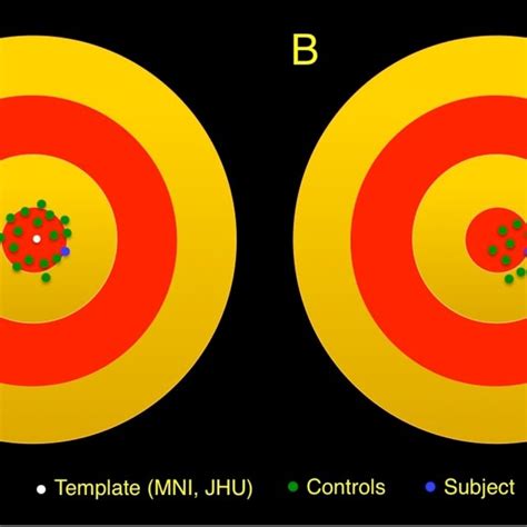Schematic Diagram Representing The Conformational Space Of The Brain Download Scientific