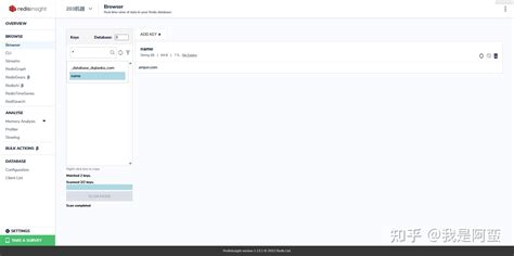 docker 安装 redis 和可视化工具 redisinsight 知乎