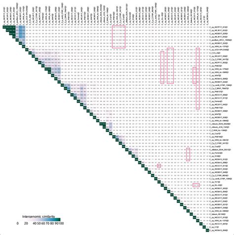 Viridic Generated Heatmap Of 64 Curated Prds Containing Major Capsid