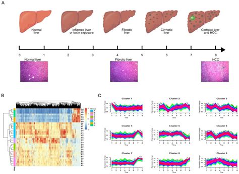 Figure 1 From Dynamic Network Biomarker C1qtnf1 Regulates Tumor