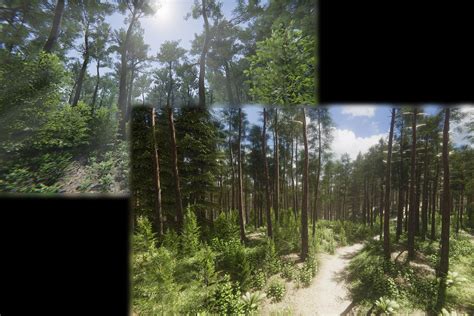 Environmentvegetation Bundle 6 3d Vegetation Unity Asset Store