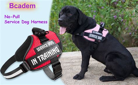 Bcadem Service Dog Vest8 Dog Patches No Pull Service Dog