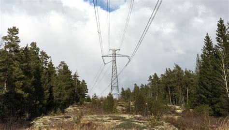 ”sverige Bör Göra Som Finland En Ny Modell För Snabbare Tillstånd”