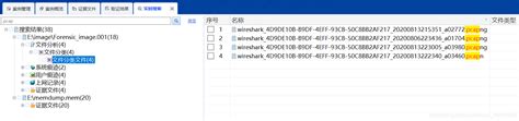 Ctf Misc 2021祥云杯初赛 层层取证 Csdn博客