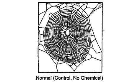 Spiders On Different Drugs Spin Different Types Of Web Patterns Core77