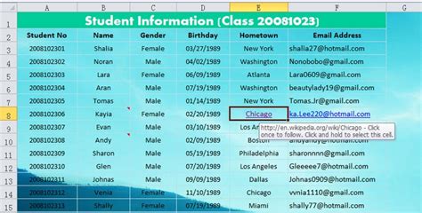 Excel Hyperlink Guides Users To Get More Information About Data In One Cell For Example The