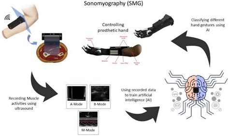 논문 리뷰 Proruka A Highly Efficient Hmi Algorithm For Controlling A