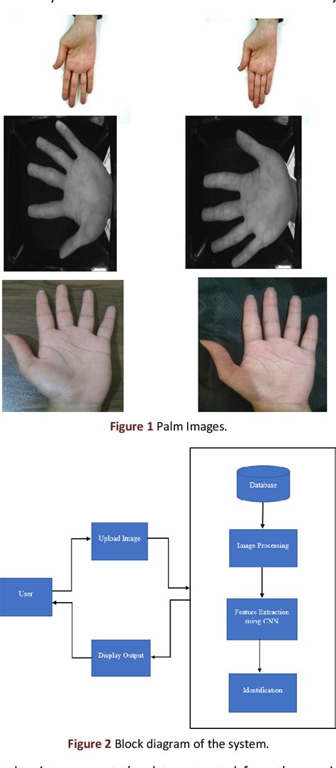 figure 1 from soft computing approach for feature extraction of palm