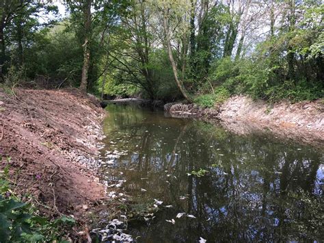 How Aligned Is Improving Riverine Longitudinal Connectivity With The