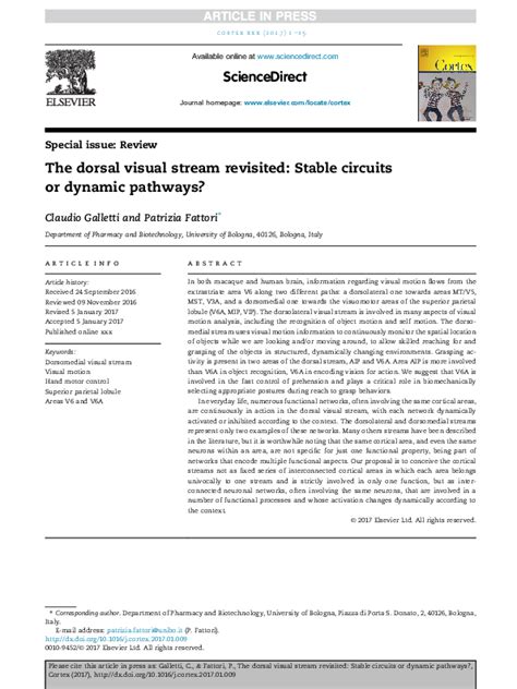 Pdf The Dorsal Visual Stream Revisited Stable Circuits Or Dynamic