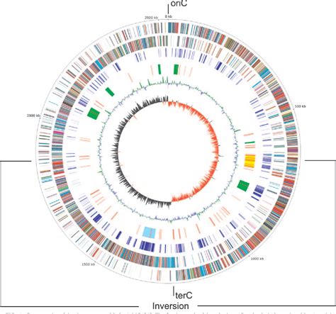 Figure 1 From Complete Genome Sequence Of The Prototype Lactic Acid Bacterium Lactococcus Lactis