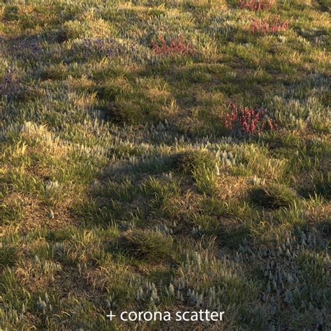 Field Grass Corona Scatter 3d Model For Corona