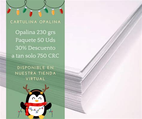 Cartulina Y Papel Tienda Menta
