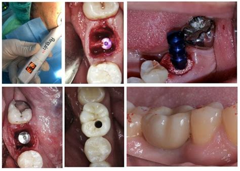 Clinical Workflow Images Download Scientific Diagram