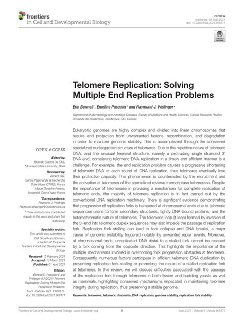 Solving Multiple End Replication Problems Pdf Dna Replication