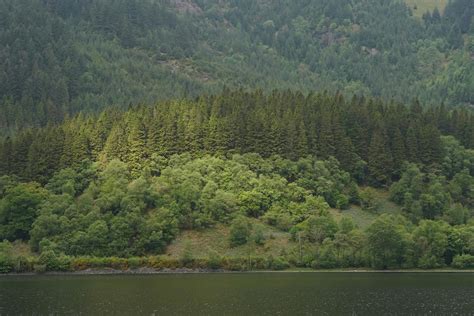 Wallcraftwallpaper Photos Download The Best Free Wallcraftwallpaper