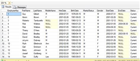Microsoft Business Intelligence Inserting Stored Procedure Result Into