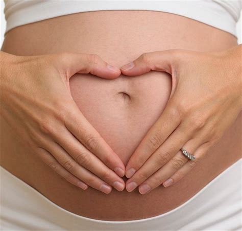 Levoluzione Della Specie