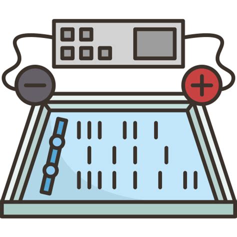 Electrophoresis Gel Separate Molecule Laboratory Icon Download On