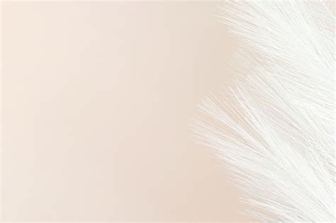 화려한 인공 깃털이 베이지 색 배경에 촬영되었습니다 텍스트를위한 공간 타조 깃털에 대한 스톡 사진 및 기타 이미지 타조 깃털 0명 깃털 Istock