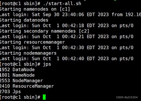 hadoop集群启动后，缺少namenode或datanode进程 hadoop启动jps缺少namenode csdn博客