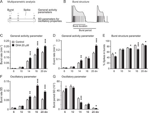 Functional Maturation Of Cortical Neuronal Networks Is Promoted By Dha Download Scientific