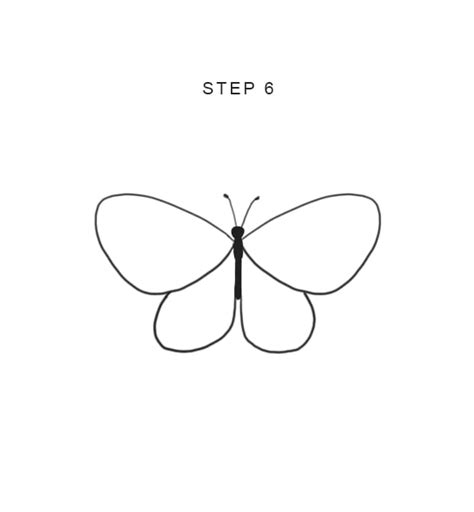 How To Draw A Easy Step By Step Butterfly At Ebony Heritage Blog