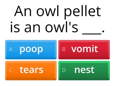 Owl Pellet Self Quiz