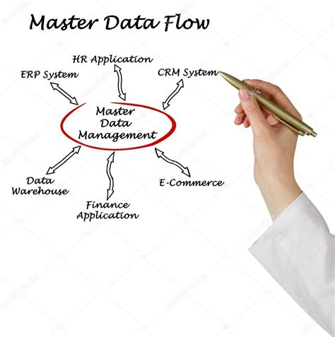 Diagram Of Master Data Flow Stock Photo Vaeenma