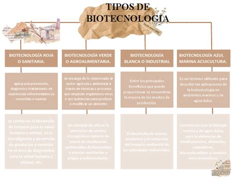 Mapa Conceptual Pdf Biotecnología Ciencias De La Vida