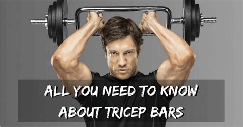 The Best Tricep Bars Hammer Curl Bars To Buy In