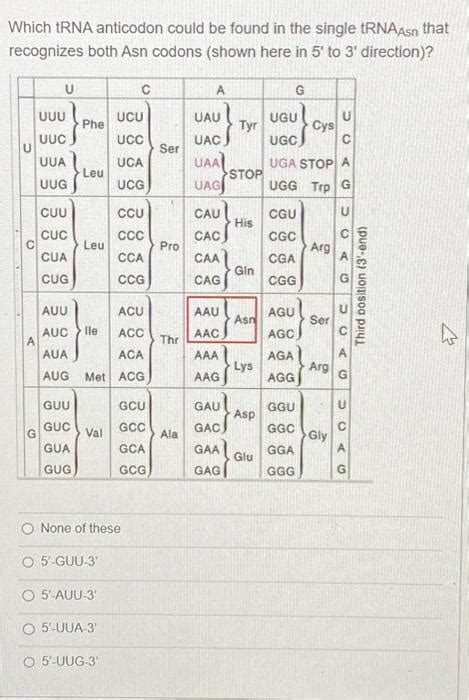 Solved Which Trna Anticodon Could Be Found In The Single