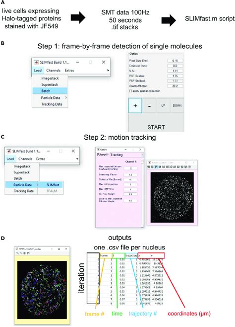Data Pipeline For Single Molecule Tracking With Slimfastm A Download Scientific Diagram