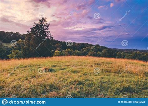Beautiful Shot Of A Dry Grassy Field With Trees In The Distance Under A Blue Sky Stock Image