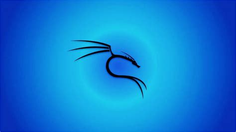 Kali Linux 20241 Released With 4 New Tools Ui Refresh Redpacket Security