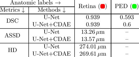 Metric Results Of The 5 Fold Cross Validation Of The Segmentation