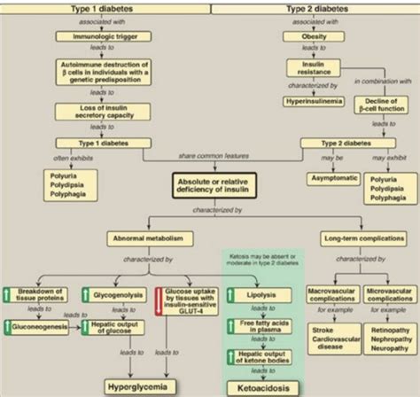 Solved By Using The Figure Below Differentiate Between Type Chegg