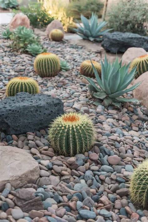 River Rock Landscaping With Cactus How To Landscape With Rocks And