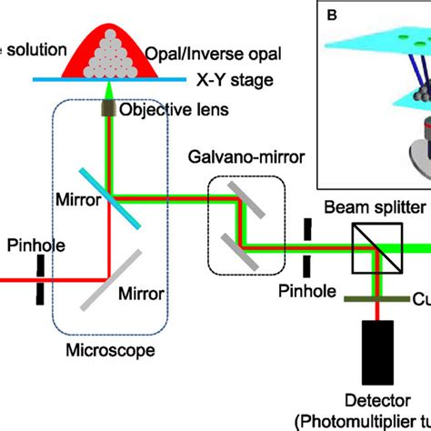 A Schematic Illustration Of The Optical Setup Enabling In Situ