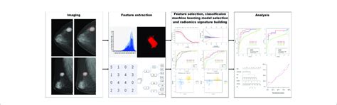 Flow Chart Of Radiomic Analysis Of Round Like Masses On Dm Images Download Scientific Diagram