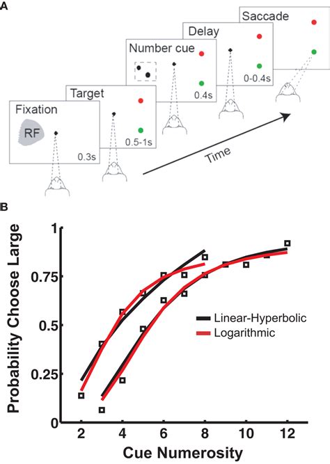 Numerosity Bisection Task A Schematic Showing Modeled Oculomotor