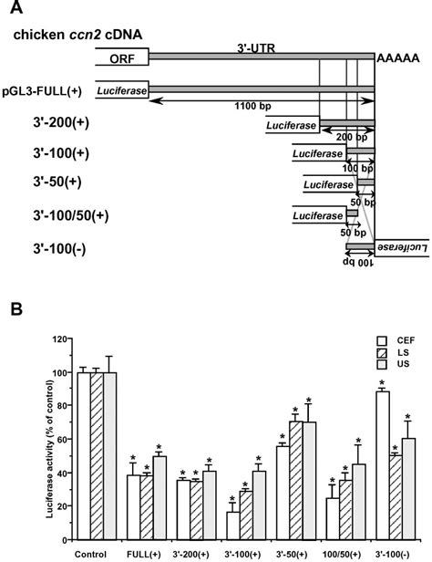 Identification Of Minimum Functional Cis Acting Element In The Chicken