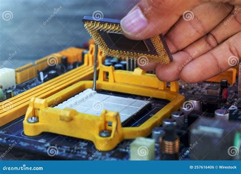 Technician S Hand Holding The Chip Microprocessor And Fixing The Computer Stock Photo Image Of