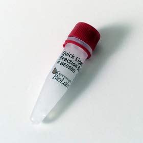 NEBNext Quick Ligation Reaction Buffer X Ml Amazon Com Industrial Scientific