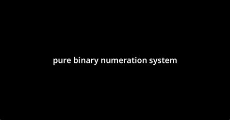 「ピュアー・バイナリー・ニューメレイション・システムpure Binary Numeration System」とは？ カタカナ語の意味